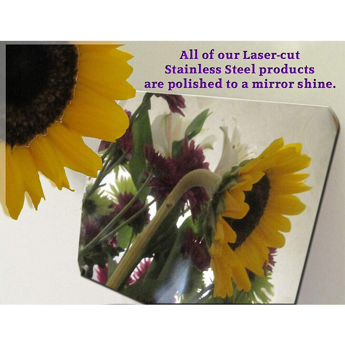 QAA Part LP49945 is a 1 Piece Stainless Steel License Plate Bezel That is Compatible with The Dodge Journey 2009-2020