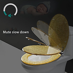 DFEDHF Resin Toilet Seat Glitter Toilet Seat Slow Close, Sparkle Toilet Seat Cover Oval, Easy Installation and Cleaning, Soft Close Toilet Seat, 36 * 42Cm,Black (Gold)