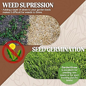 HealthiStraw GardenStraw, 3 cu ft, All-Natural Mulch for Vibrant Gardens, Vegetables Lawn Seeding - Water-Conserving, Weed-Suppressing Wheat Straw - Sustainably Sourced, Thoroughly Cleaned