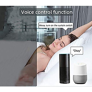 MHCOZY 2CH WiFi RF Wireless Switch Relay,Inching Self-Locking Interlock Mode,Ewelink App Remote for Access Control Smart Garage Door,Compatible with Alexa Goolge Home (USB 5V AC 85-250V)