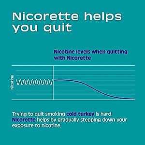 Nicorette 2 mg Mini Nicotine Lozenges to Help Quit Smoking with Behavioral Support Program, Mint Flavored, 81 Count (2 Pack)