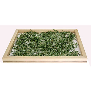 Eppicotispai Beechwood Stackable Food Dryer with Net