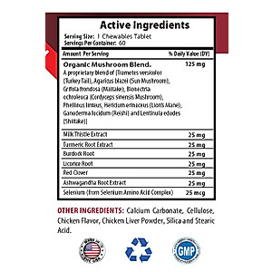 PETS HEALTH SOLUTION Dog Liver Support - Premium Immune Support - Dog and CAT Treats - Advanced Blend - Milk Thistle for Dogs with high Liver enzymes - 120 Treats (2 Bottle)