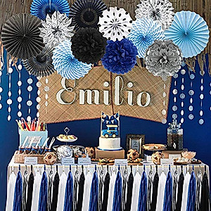 zorpia Outer Space Birthday Party Decorations 1st Birthday Boy Prince Party Decorations with Navy Silver Tissue Pom Poms Decorations Happy Birthday Banner Navy Blue Glitter Silver Paper Star Garlands