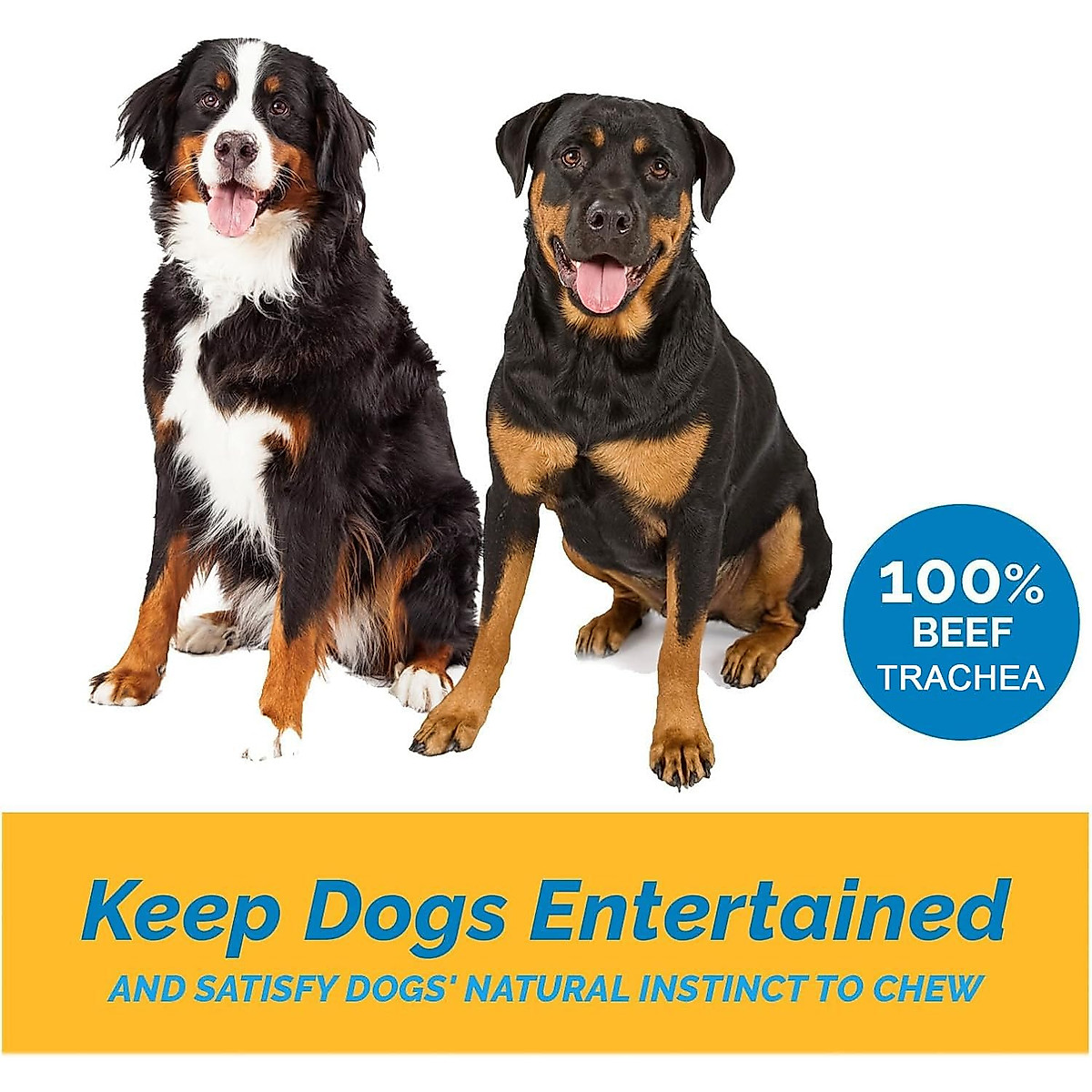 123 Treats Premium Beef Trachea for Dogs – 12 Inch 100% Natural Beef Dog Chews, Rich in Glucosamine and Chondroitin for Joint & Hip Mobility (10 Count)