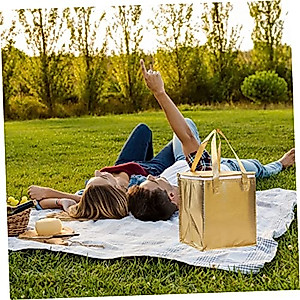 NOLITOY 4pcs Storage Hiking Tote Take Cake Thermal Practical Take-out Baking Delivery Picnic Back Zipper Heat Insulation Item Pizza Insulated Small Warmer Bags Cooler Aging Out