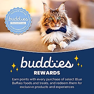 Blue Buffalo Cat Food for Kittens, Natural Chicken Recipe, High Protein, Dry Cat Food, 5 lb bag