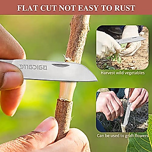BaiCarre Pruning Knife,Grafting Knife, Stainless Steel Folding Garden Budding Knife, Pocket Knife for Grafting Multi Cutting Tool, Weed Bushes Branches Mushroom Weeding Knife