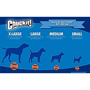 Chuckit! Medium Rebounce Ball 2.5", 2 Pack, Blues & Purples (20320)