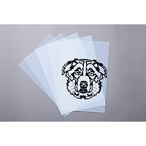 DURICO Translucent PET 5.3mil (135micron) Inkjet Film in Sheets for Screen Printing (11X17 IN/ 50 sheets)