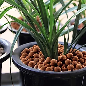 Halatool 4LB Leca Clay Pebbles for Plants 4mm-16mm Lightweight Clay Balls 100% Natural Hydro Balls for Aquarium Potted Plants Hydroponic Growing Gardening Orchids Drainage Decoration Aquaponics