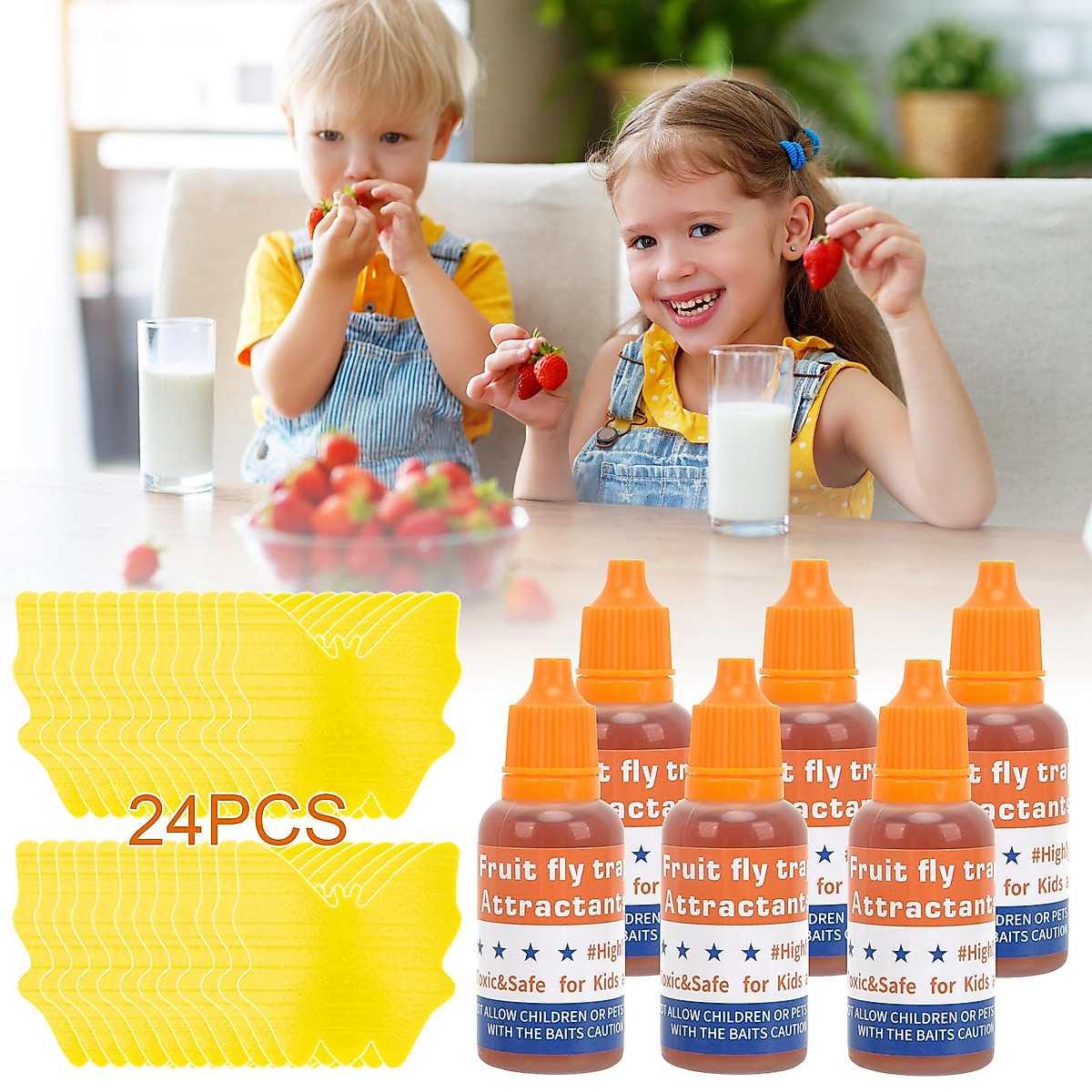 Fruit Fly Trap for Indoor- Non-Toxic Insects Bait Refill Liquid Only- Fruit Fly Bait with Sticky Pads- with 6 Packs Fly Trap Refills Liquid Replacement- 24 Packs Fruit Fly Trap Stickers