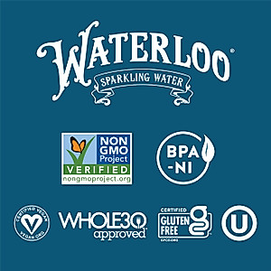 Waterloo Sparkling Water, Ginger Citrus Twist Naturally Flavored, 12 Fl Oz Cans (Pack of 12) – Zero Calories and Zero Sugar or Sweeteners of Any Kind