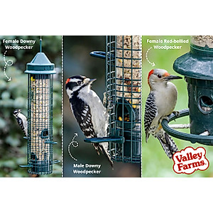 Valley Farms Woodpecker Mix Wild Bird Food, No Mess Bird Seed for Outdoor Feeders, W/Peanuts and Sunflower Hearts for Birds, Woodpecker Food, Attract All Bird Species (4 LBS)