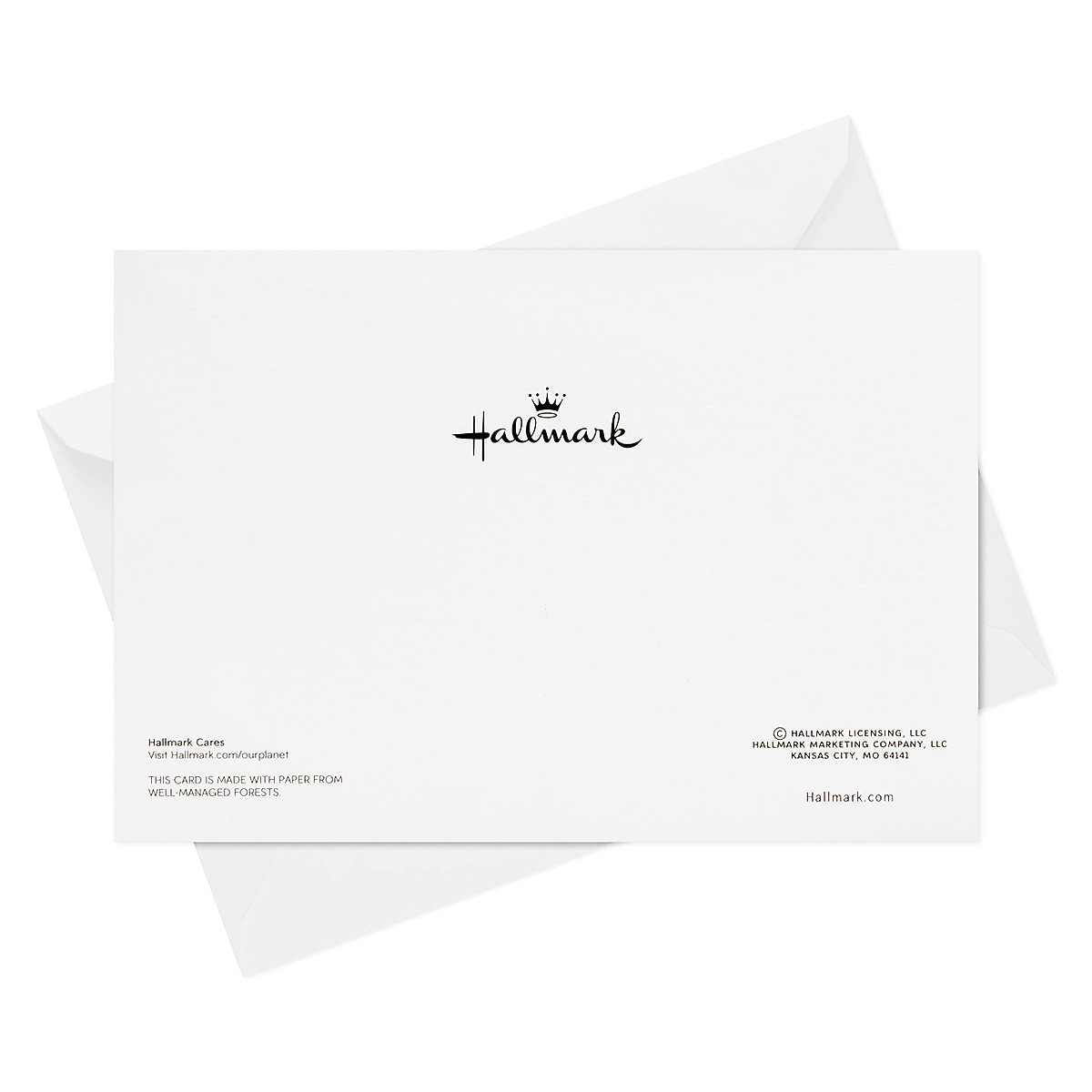 Hallmark Boxed Holiday Cards, Ice Skating (40 Cards with Envelopes)