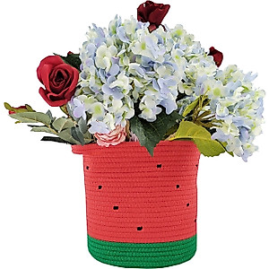 Watermelon Cotton Rope Storage Basket Pack of 3 for Organizing Novelty Gift Fruit Basket Large Picnic Basket Room Decor