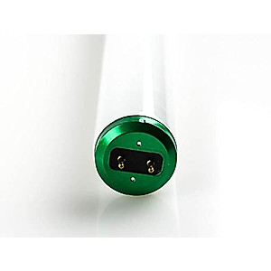 PHILIPS F20T12 / CW/Alto - 20 Watt - Cool White 273326