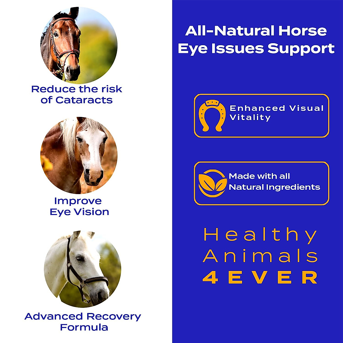 Healthy Animals 4Ever All-Natural Horse Eye Health Support - Maintains Normal Mineral Levels for Horses Eyes - Eye Supplements for Horses - Homeopathic & Highly Effective - 300 Tablets