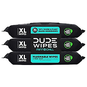 DUDE Wipes - Flushable Wipes - 3 Pack, 144 Wipes - Mint Chill Extra-Large Adult Wet Wipes - Vitamin-E, Aloe, Eucalyptus & Tea Tree Oils - Septic and Sewer Safe