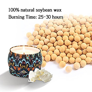 redfruit Scented Candles Gift Set for Womem: 4 Pack Package - Aromatherapy Candle Sets,Natural Soy Wax Candle Can Help Stress Relief&Body Relaxation,Very Suitable for Festival,Bath,Yoga.