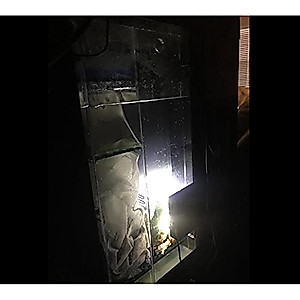 inTank Fuge Basket for Coralife LED BioCube 32