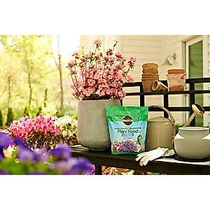 Miracle-Gro Water Soluble Azalea, Camellia, Rhododendron Plant Food - Fertilizer for Acid-Loving Plants & Flowers, 5 lb.