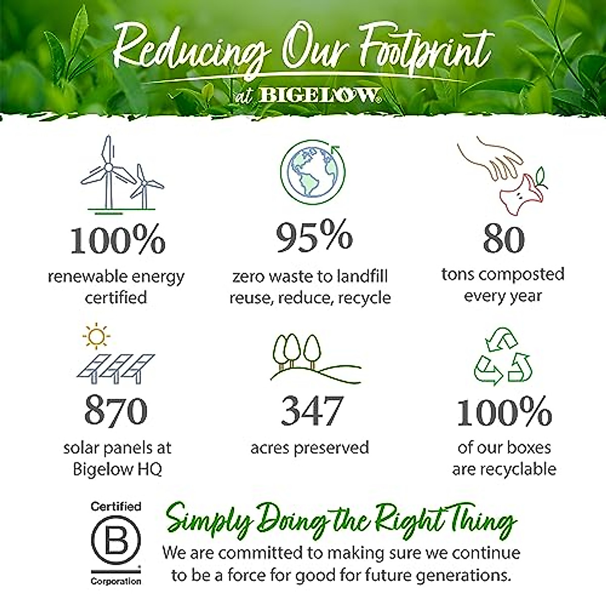 Bigelow Tea Organic Decaffeinated Green Tea, 40 Count (Pack of 6), 240 Total Tea Bags