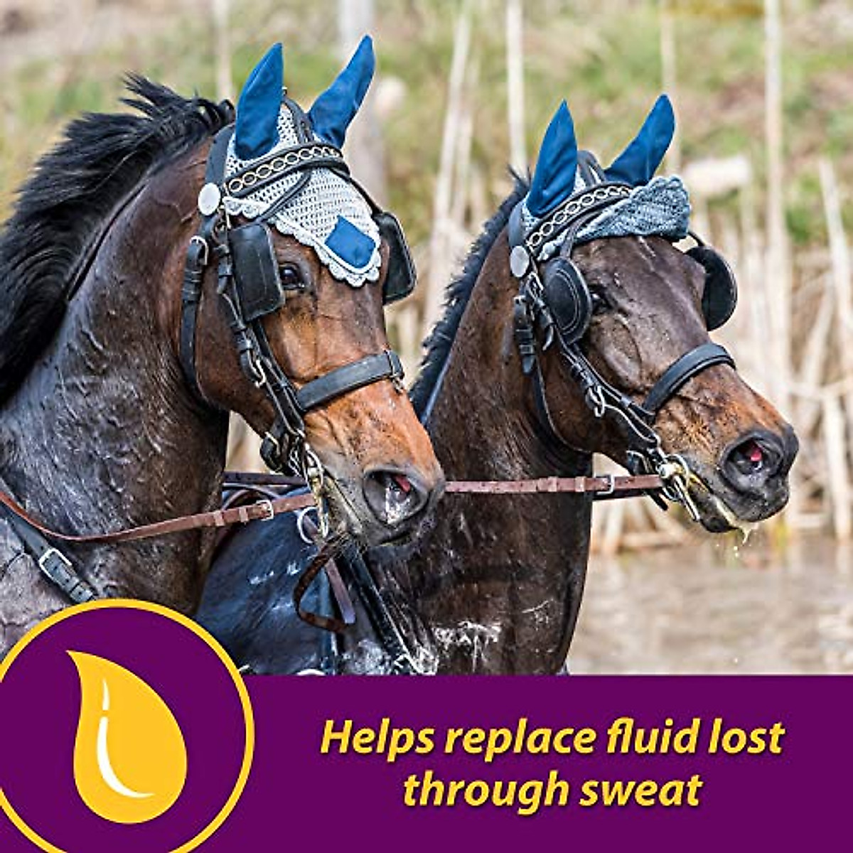 Horse Health Apple-Dex Apple Flavored Electrolytes for Horses, Replaces minerals lost during exercise, under stress or extreme weather conditions, 5 pound