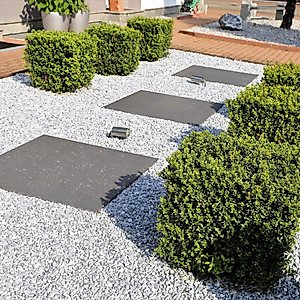 WAENLIR 5oz 20 Year 3ft x100ft Heavy Duty Weed Barrier Landscape Fabric, Sturdy Weed Blocker Cover, Outdoor Gardening Weed Control Mat