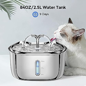 Cat Water Fountain with Water Level Window and LED Light, Automatic Pet Water Fountain Cat Dog Water Dispenser, 2.5L/84Oz Water Fountain Stainless Steel with 3 Replacement Filters for Multiple Pets