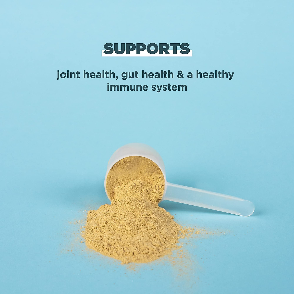 Ancient Nutrition Protein Powder Made from Real Bone Broth, Vanilla, 20g Protein Per Serving, 40 Serving Tub, Gluten Free Hydrolyzed Collagen Peptides Supplement, Great in Protein Shakes