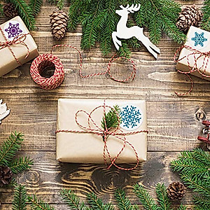 GESKS Multiple Snowflakes Stickers 1000 PCS Xmas/Winter Wonderland/Holiday Party Favors Decorations Cards Envelope Seals Sticker Decals,12 Different Design(Christmas Snowflake)