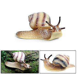 Rich Boxer 8 Pcs Snail Figurines Snail Model Snail Growth Cycle Model Set Plastic Snail Realistic Animal Model for Diorama