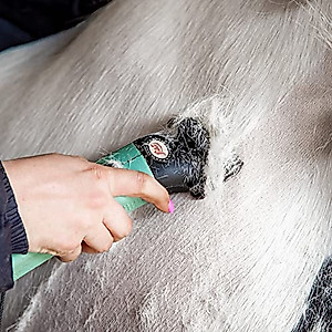 Lister Star Large Animal Clipper with Fine Blade for Horses, Cattle, Sheep, and Livestock (#258-34501), Green