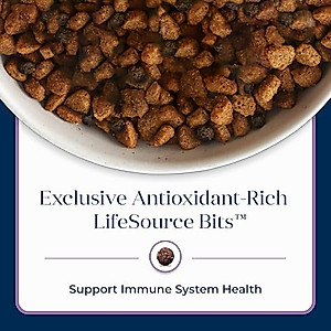 Blue Buffalo Basics Puppy Dry Dog Food for Skin & Stomach Care, Limited Ingredient Diet, Made in the USA with Natural Ingredients, Turkey & Potato Recipe, 4-lb. Bag