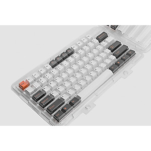 Mistel Doubleshot PBT Keycaps for Mechanical Keyboard with Cherry MX Switches and Clones, 108 Keys Plus Extra 11 Keys Set, PBT Keycaps with 6.25U Space Bar for PC Gaming Keyboard, Gloaming Color