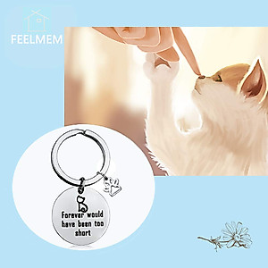 FEELMEM Cat Memorial Keychain Forever Would Have Been Too Short Paw Print Keychain Loss of Pet In Loving Memory of Cat Jewelry Gift for Cat Lover (Silver)