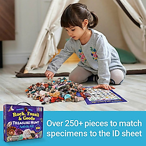DANCING BEAR Rock, Mineral & Geodes Treasure Hunt Activity Kit (250 Pc Set) Real Shark Teeth Fossils, ID Sheet & Rock Book, STEM