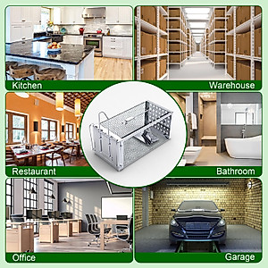 Zorpupoa Humane Rat Trap, Humane Live Animal Mouse Cage Traps, Small Rodent Chipmunk Squirrel Trap and Other Live Animal Trap Cage for Indoor and Outdoor Use