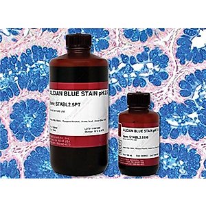 Alcian Blue Stain pH 2.5 (100 mL)