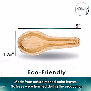 Planet Pantry Disposable Palm leaf Cutlery Wooden Bamboo-Like Paper and Plastic Alternative Eco-Friendly for Food, Party, Buffet (5" Soup Spoon, 50)