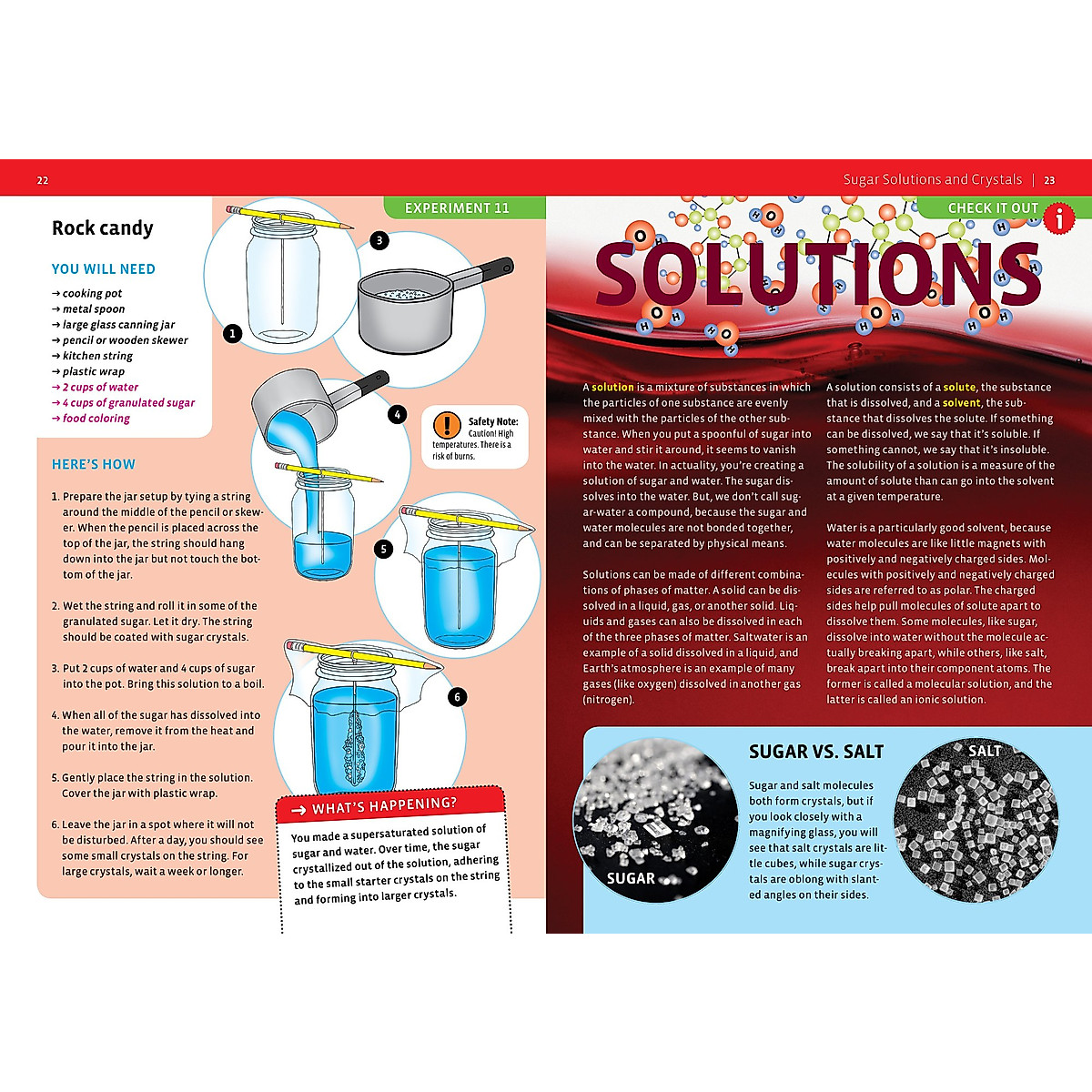 Thames & Kosmos Candy Chemistry | Science Kit | Rock Candy, Chocolates, Gummy Bears, Wintergreen Candies | 48 Page Full-Color Manual | Ages 10+ | Learn Chemistry, Have Fun | Cooking Science
