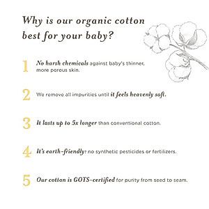 Burt's Bees Baby - Set of 2 Bee Essentials 1 Ply Blankets, 100% Organic Cotton (1 Solid + 1 Honeybee Print, Blossom) , 29x29 Inch (Pack of 2)