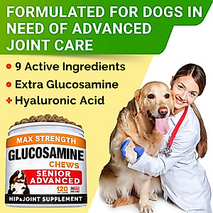Senior Advanced Glucosamine Joint Supplement + Probiotics for Picky Eaters Bundle - Hip & Joint Pain Relief + Allergy, Diarrhea - Digestive Enzymes, Prebiotics + Omega-3, Chondroitin, MSM - 240 Chews