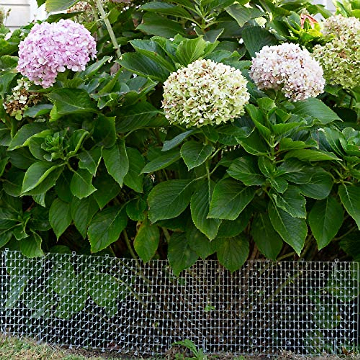 Ultragica Cat Scat Roll - Dog Scat Roll - Plastic Pet Training Mat - 6.5 feet - Keep Dogs Off Couch - Cat Spike Mat - Cat Deterrent- Cat Off Couch- Pet Off Couch- Pet Off Furniture