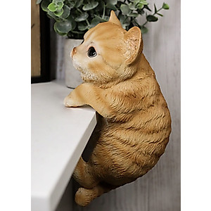 Ebros Lifelike Pot Pal Hanging Orange Tabby Cat Statue 8" Tall with Glass Eyes Hand Painted Realistic Feline Cat Decor Figurine Cats Kittens Kitties Animal Pet Sculpture Garden Patio Decorative