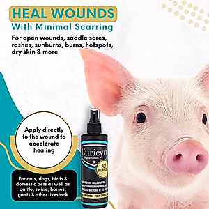 Curicyn, Wound Treatment Spray for All Animals - Original Formula, Helps Reduce Inflammation, Easy and Effective Pet Wound Care, Dog and Cat Skin Care Infection Treatment, - 8 oz Spray Bottle