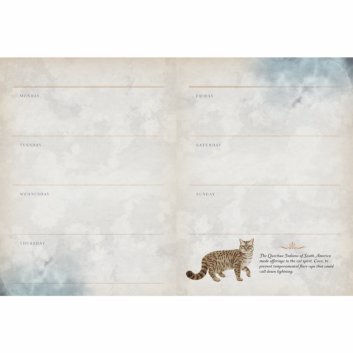 Magic Tricks with Coins, Cards, and Everyday Objects