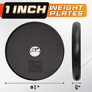 Yes4All 1-inch Cast Iron Weight Plates for Dumbbells – Standard Weight Disc Plates (10 lbs, Single)