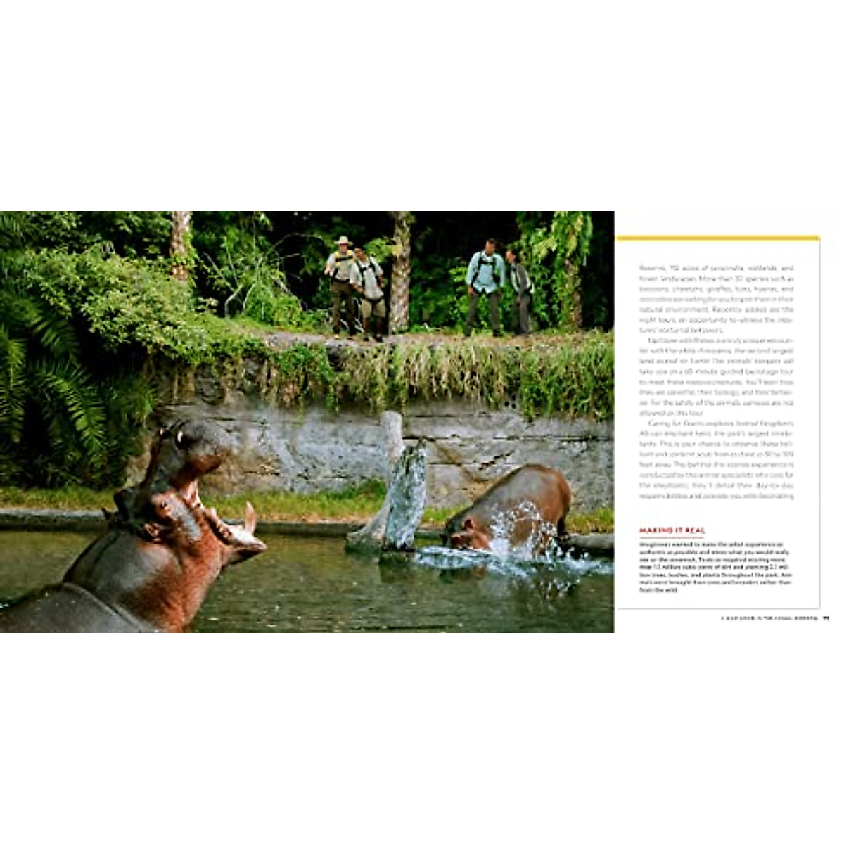 100 Disney Adventures of a Lifetime: Magical Experiences From Around the World